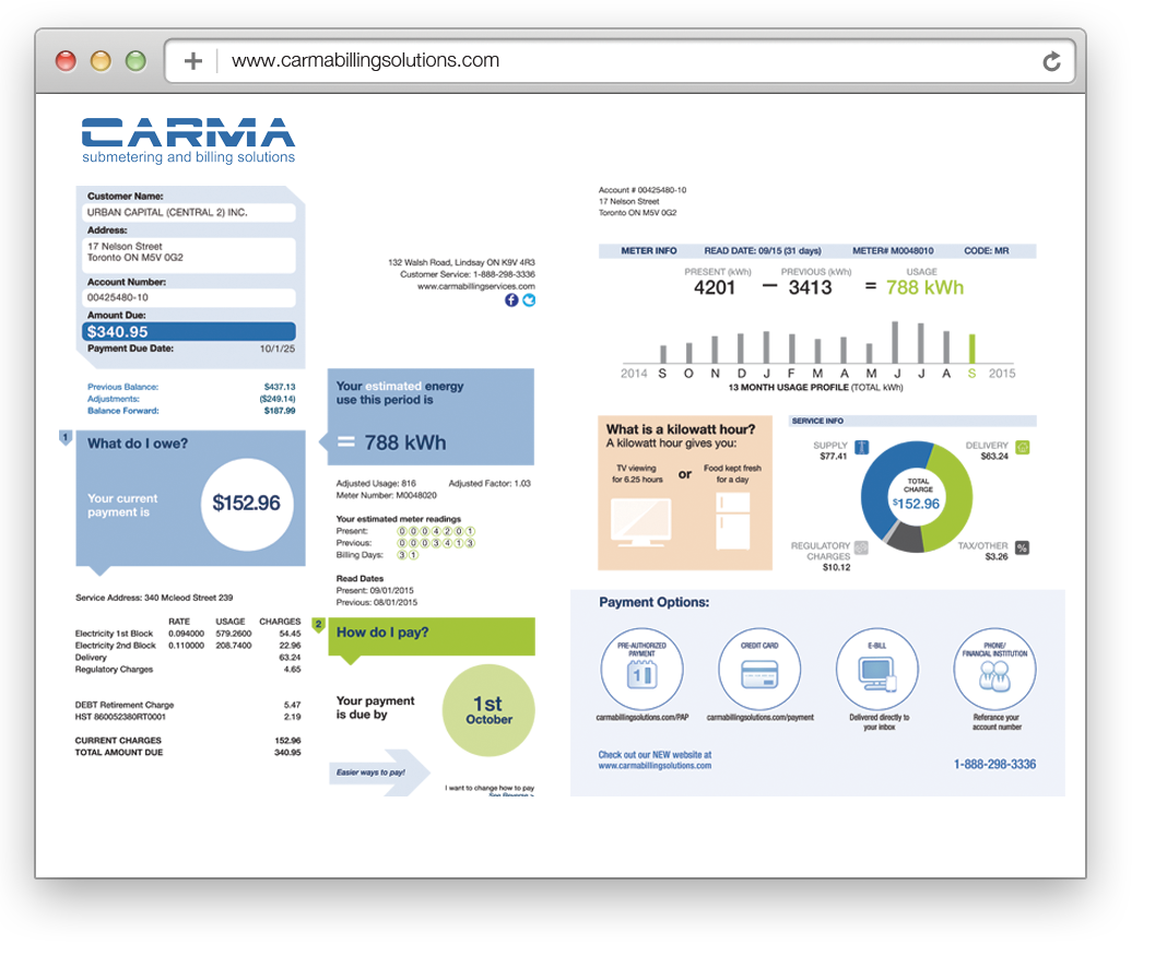 CARMA Billing Services Inc. | The Most Transparent Billing Services ...